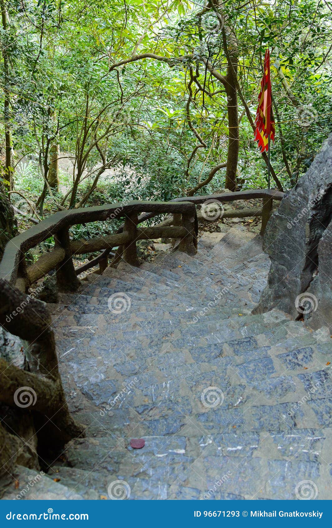 Stone steps in the jungle stock image. Image of descent - 96671293