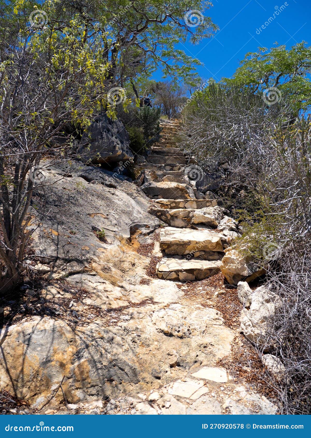 The Stone Steps Lead from the Shore of Lake Tsimanampetsotsa ...