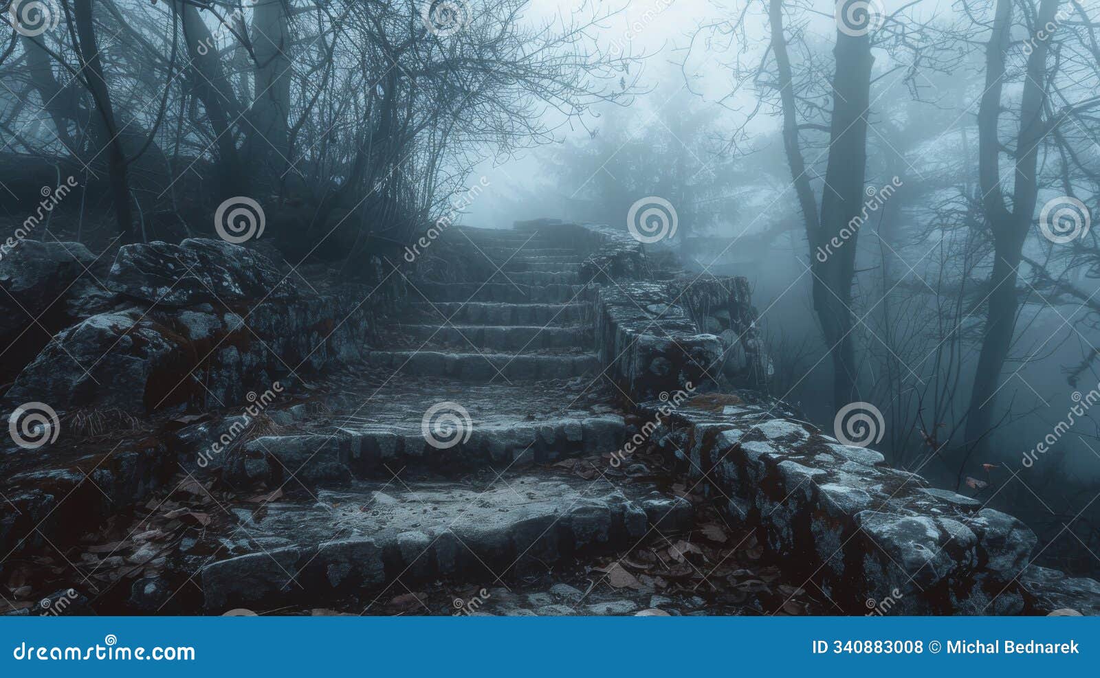 Stone Steps Leading into Foggy Forest Scene Stock Photo - Image of ...