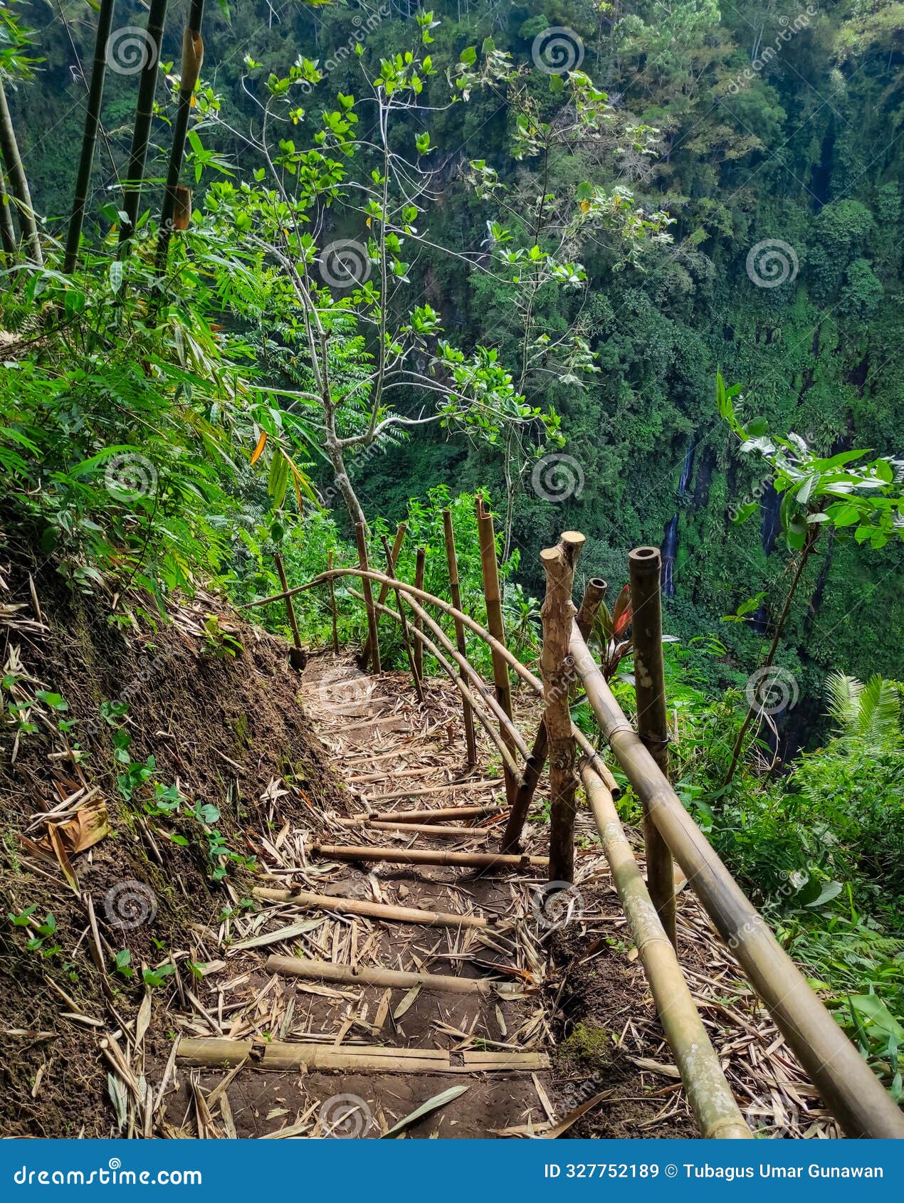 Stone Steps Leading To a Cascading Waterfall Stock Image - Image of ...