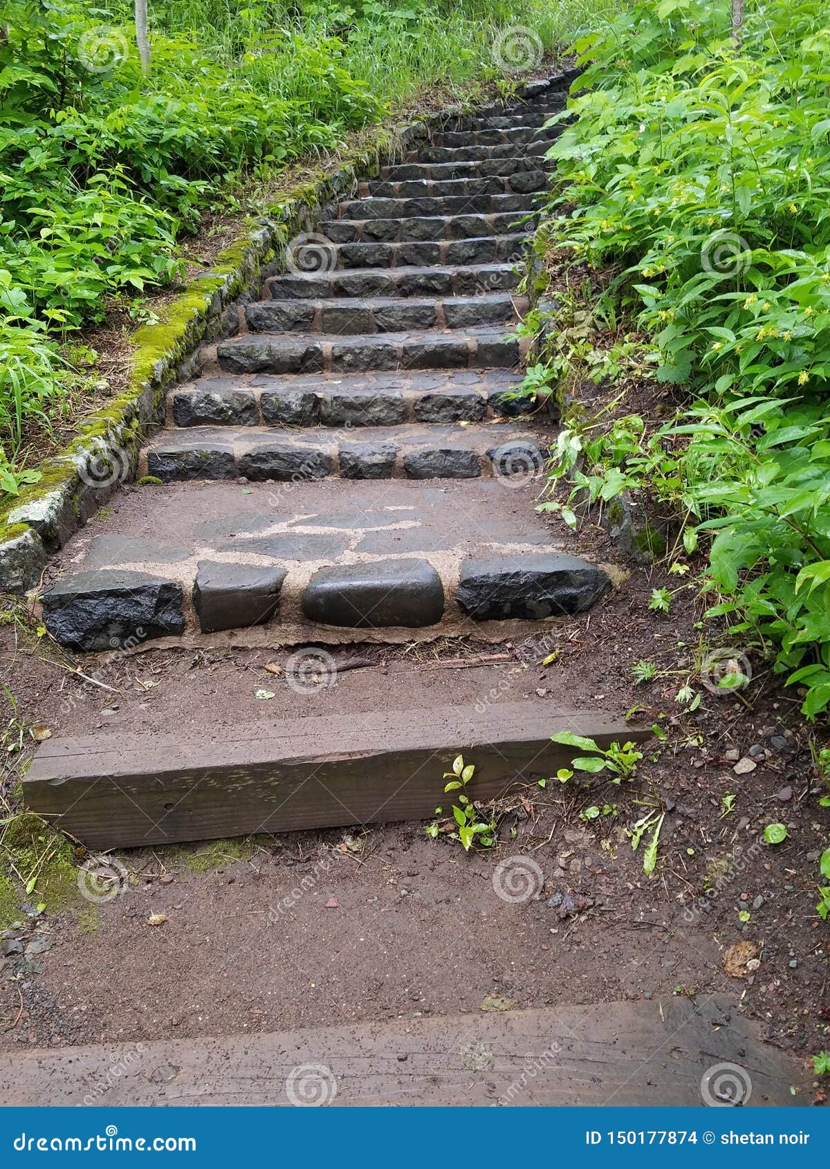 Stone Steps Leading Up a Hill. Stock Photo - Image of hill, outdoors ...