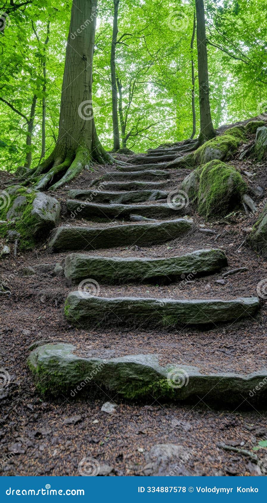 Stone Steps in Lush Green Forest, Upward Path. Tranquil Nature and ...