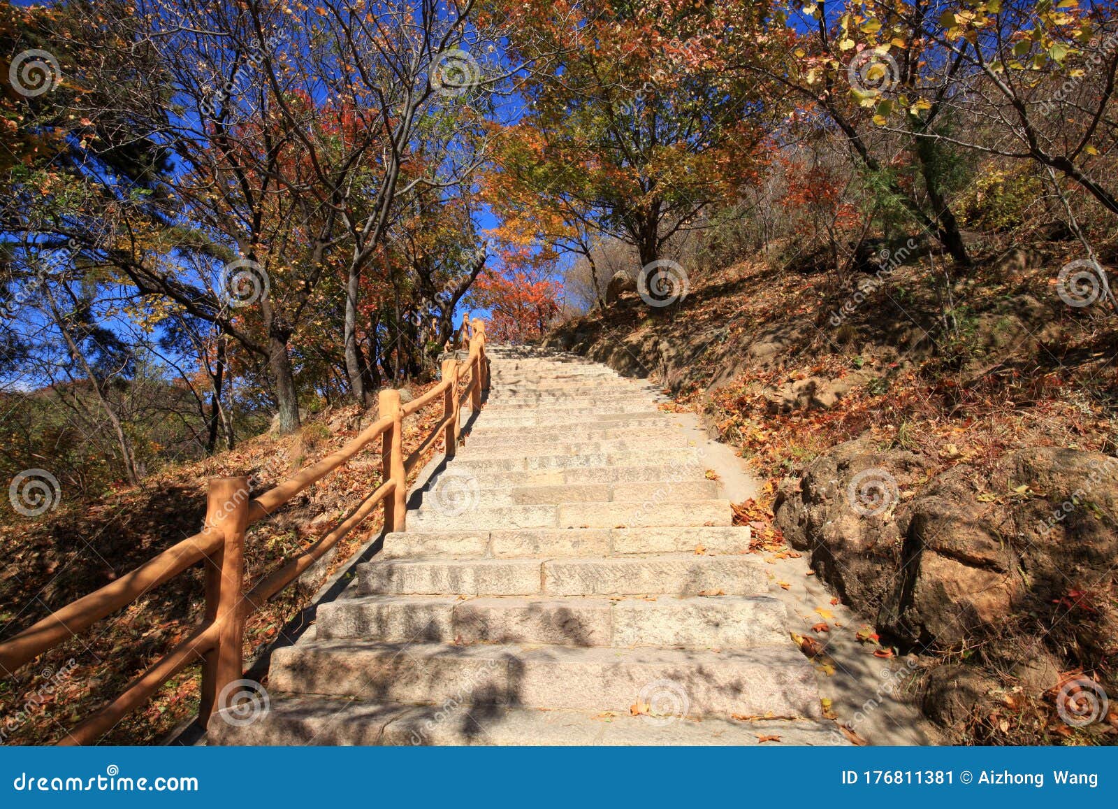 Stone Steps of the Mountain Stock Image - Image of park, tree: 176811381