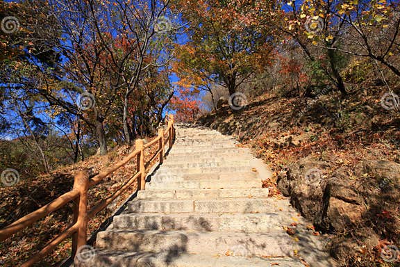 Stone Steps of the Mountain Stock Image - Image of park, tree: 176811381