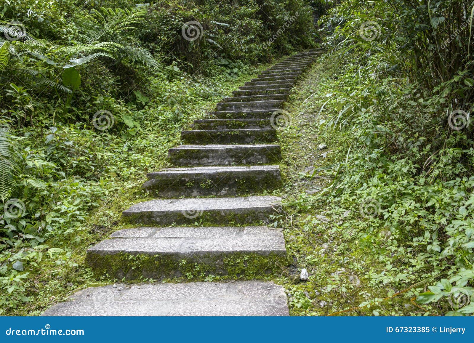 The Stone Steps in Mountain Stock Image - Image of environment, forest ...