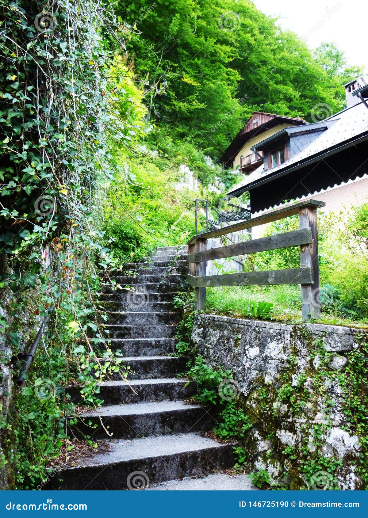 Stone Steps in Nature in Beautiful Austria Stock Photo - Image of ...