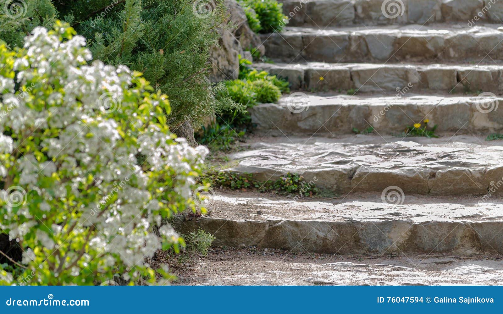 Stone steps in old park stock photo. Image of construction - 76047594