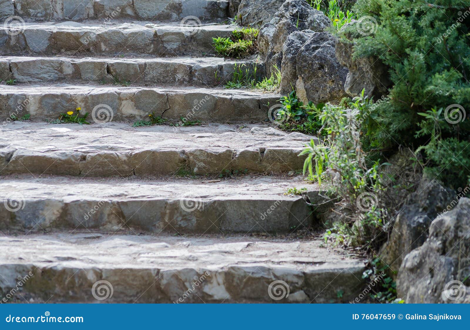 Stone steps in old park stock image. Image of antique - 76047659