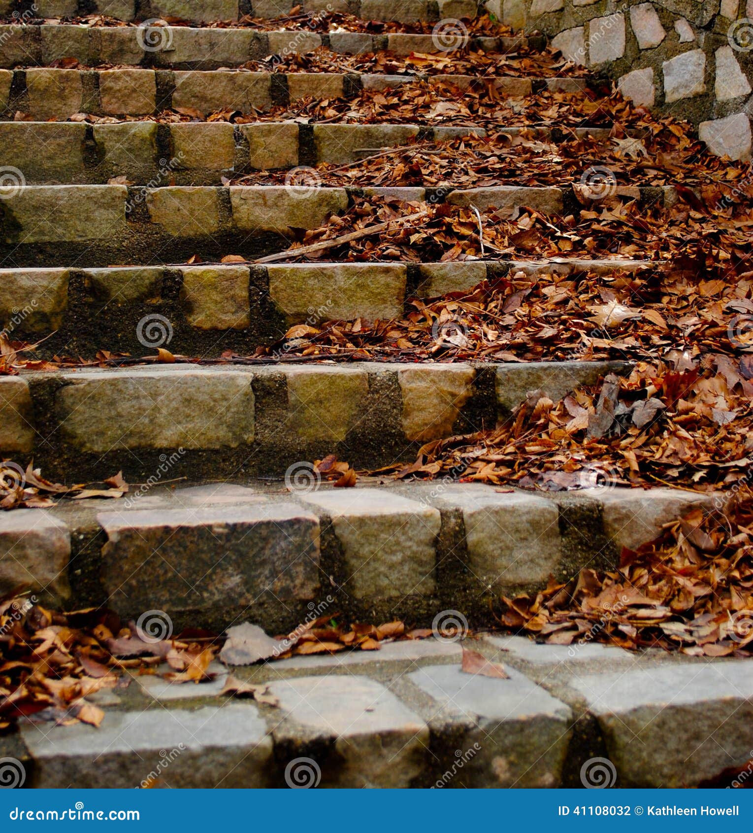 Stone Steps stock photo. Image of outdoors, upward, leaf - 41108032