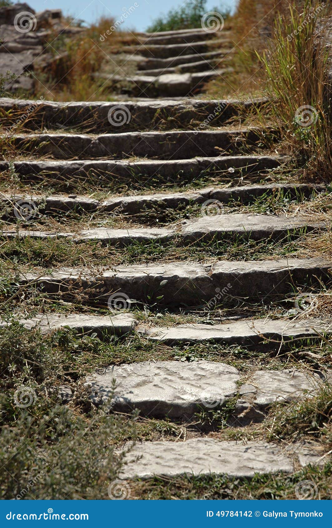 Stone Steps Overgrown with Grass Stock Photo - Image of covered ...