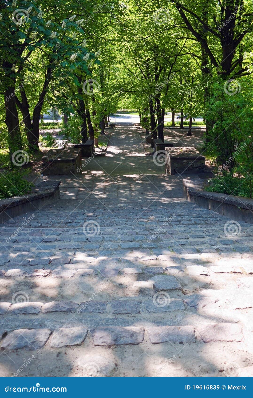 Stone steps in park stock image. Image of foliage, pathway - 19616839