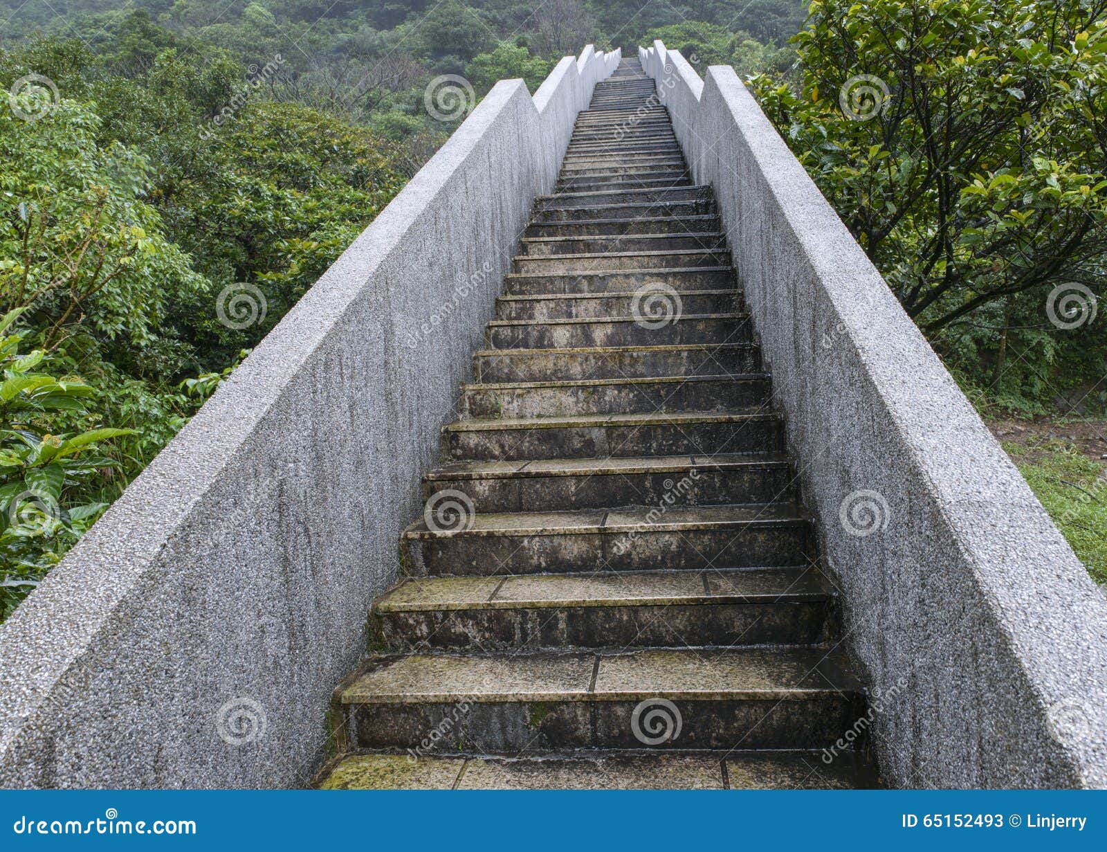 The Stone Steps in Taiwan Mountain Stock Image - Image of green, branch ...