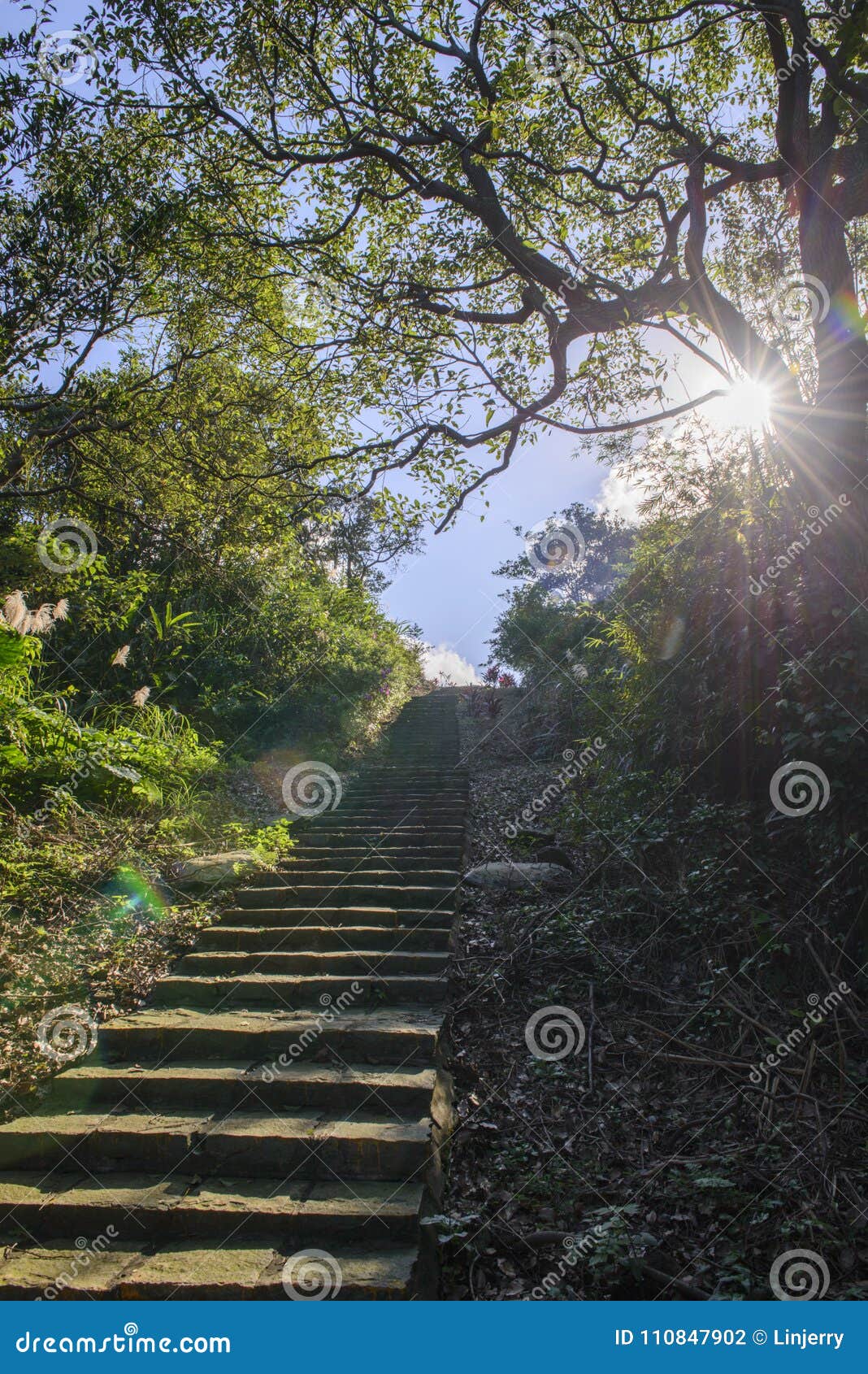 View of Stone Steps Leading Up a Hill Stock Photo - Image of pavement ...
