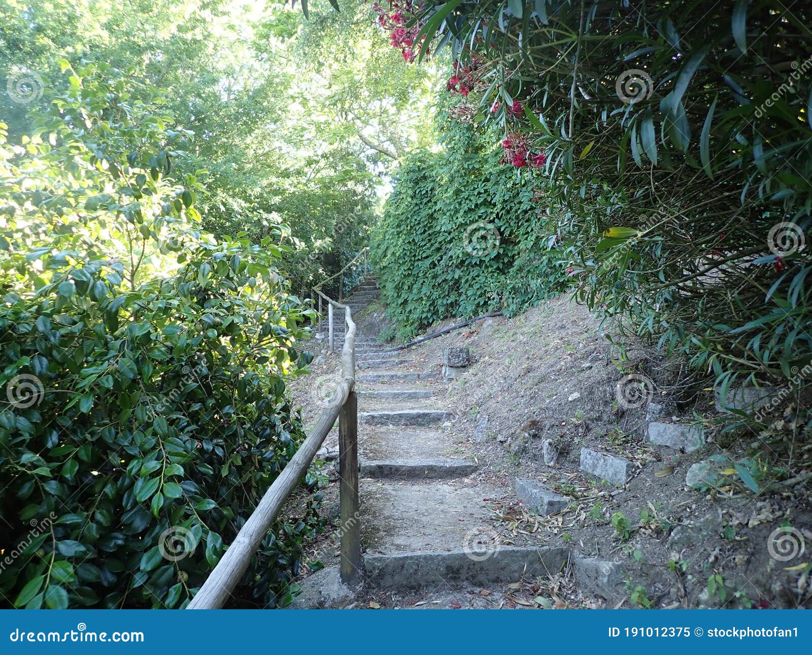 Stone Steps or Trail or Path with Railing and Trees Stock Image - Image ...