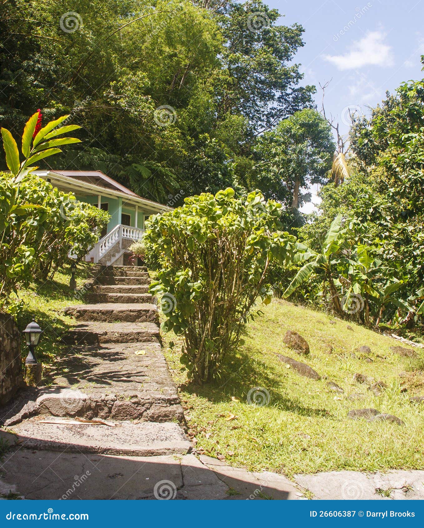 Stone Steps Up Hill Toward Green House Stock Image - Image of tropics ...
