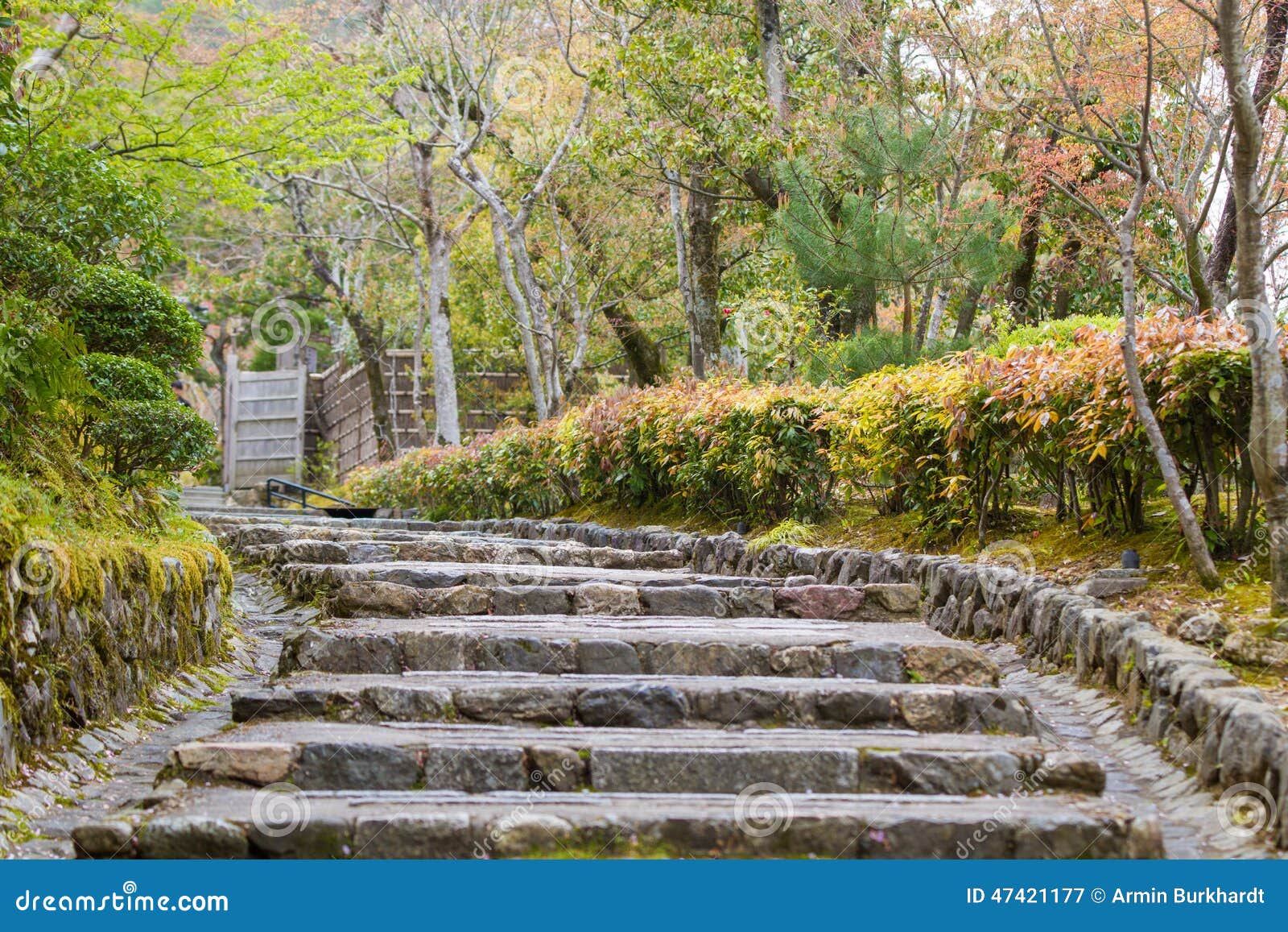 Stone steps stock image. Image of luck, lucky, lacurren - 47421177