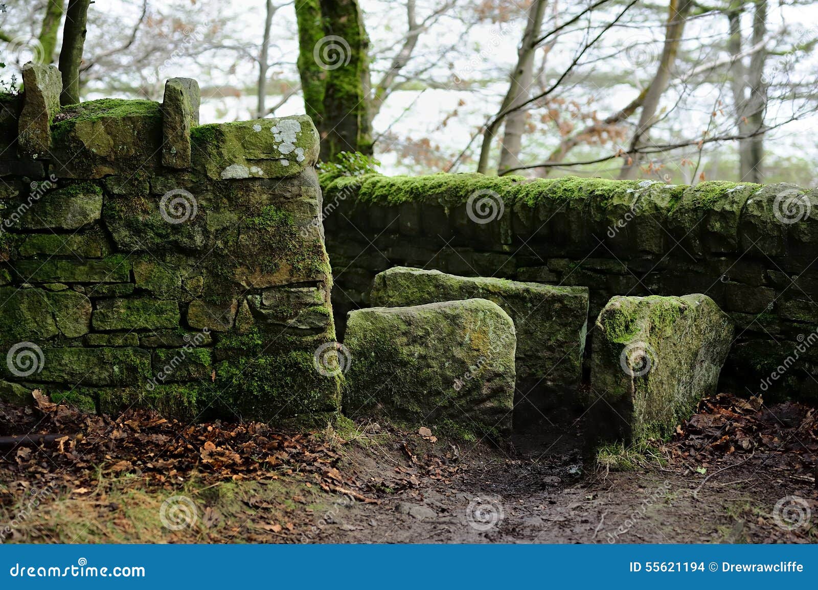 Stone Stile stock photo. Image of leaves, walkway, walls - 55621194