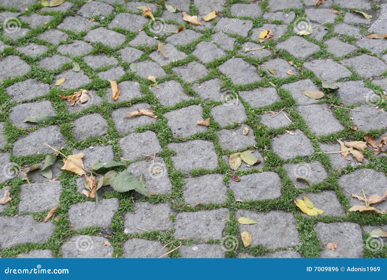 Stone street stock photo. Image of causeway, abstracts - 7009896