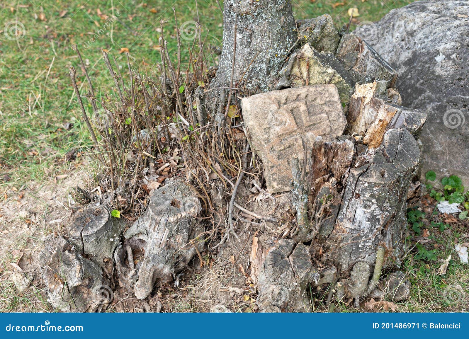 Stone in Stump stock image. Image of tomb, rural, christianity - 201486971