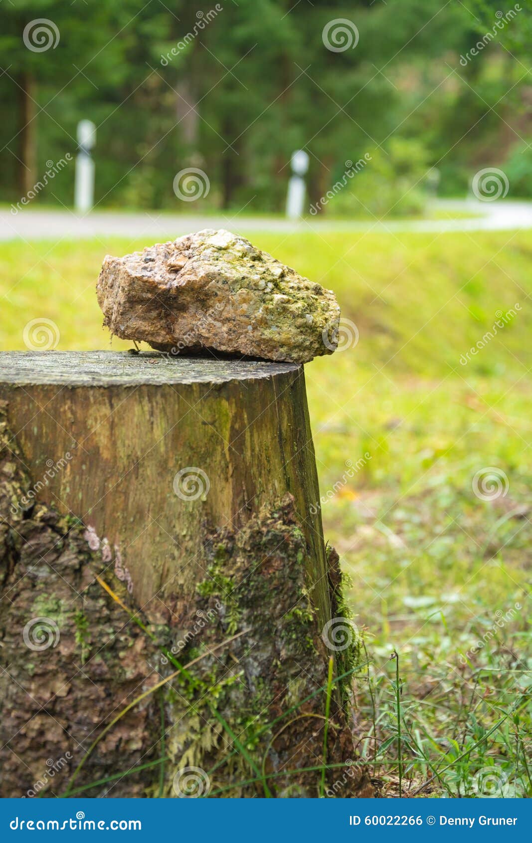Stone on stump stock photo. Image of closeup, roadside - 60022266