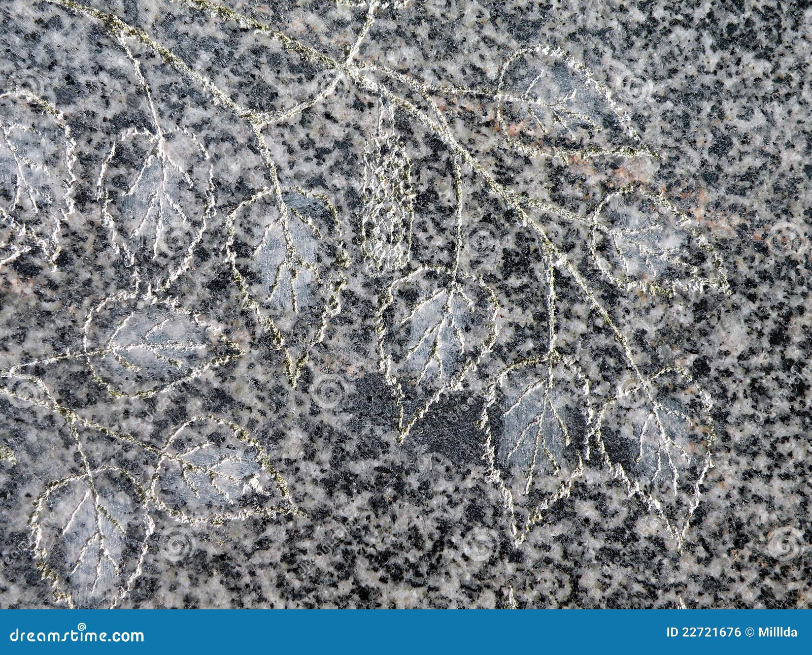 Stone surface stock photo. Image of leaves, artistic - 22721676