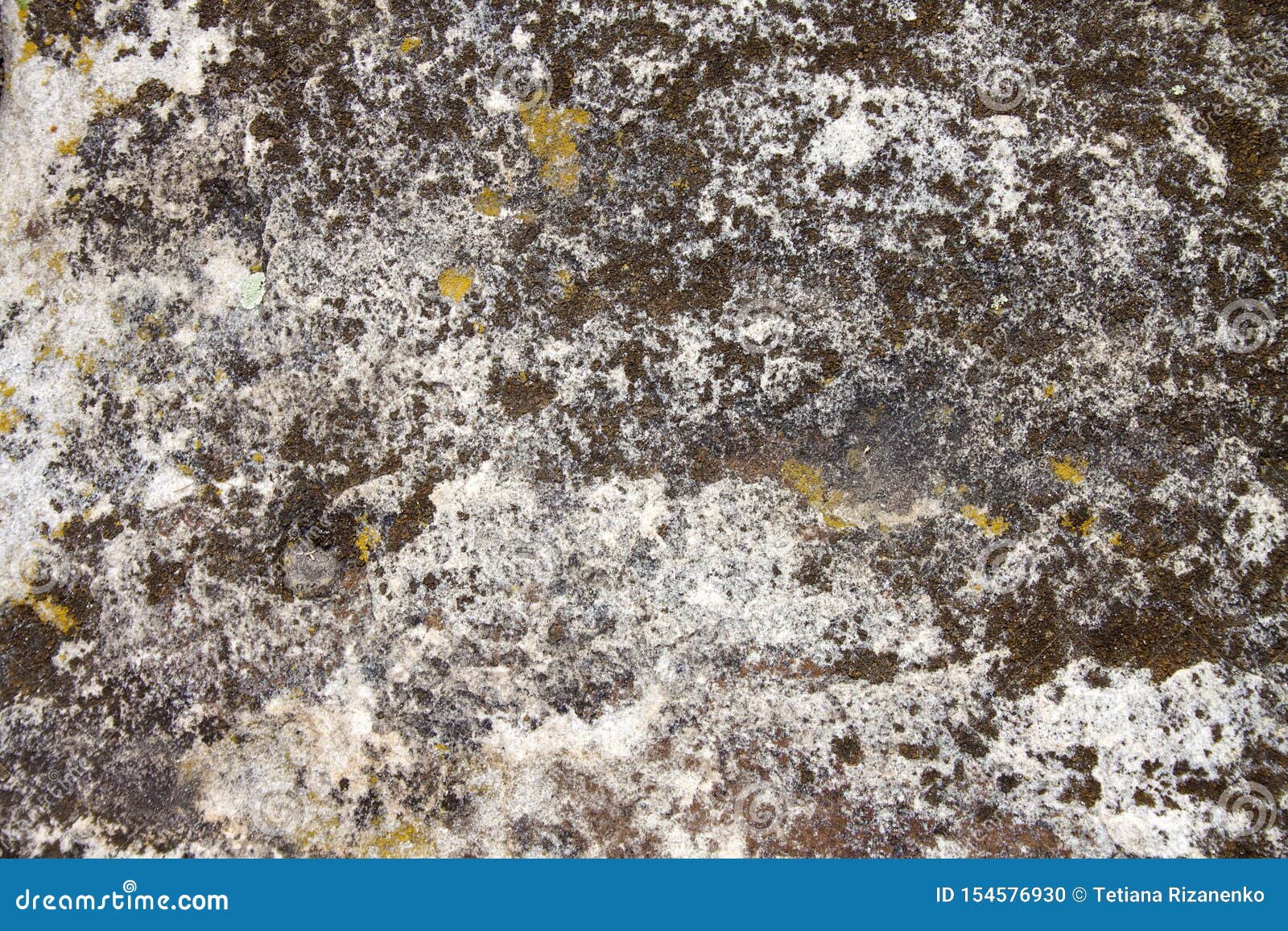 Stone Surface with Lichen. Natural Texture Stock Photo - Image of wall ...