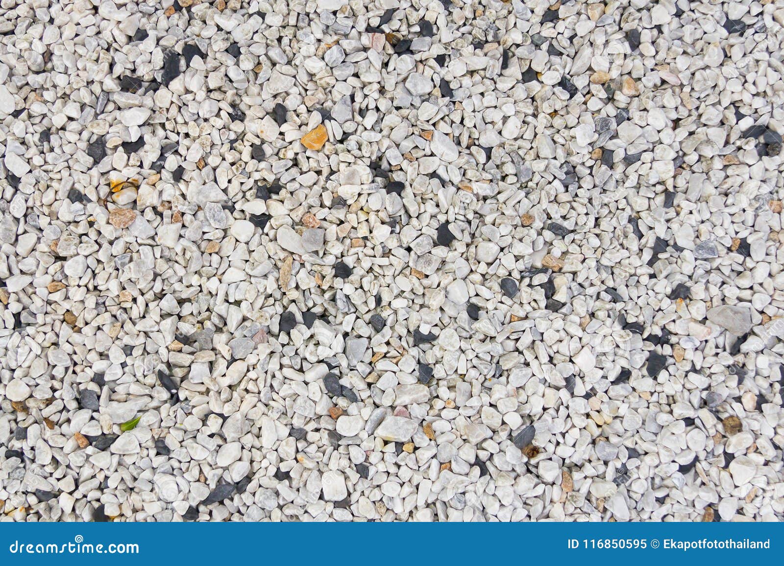 Stone surface texture stock image. Image of textured - 116850595