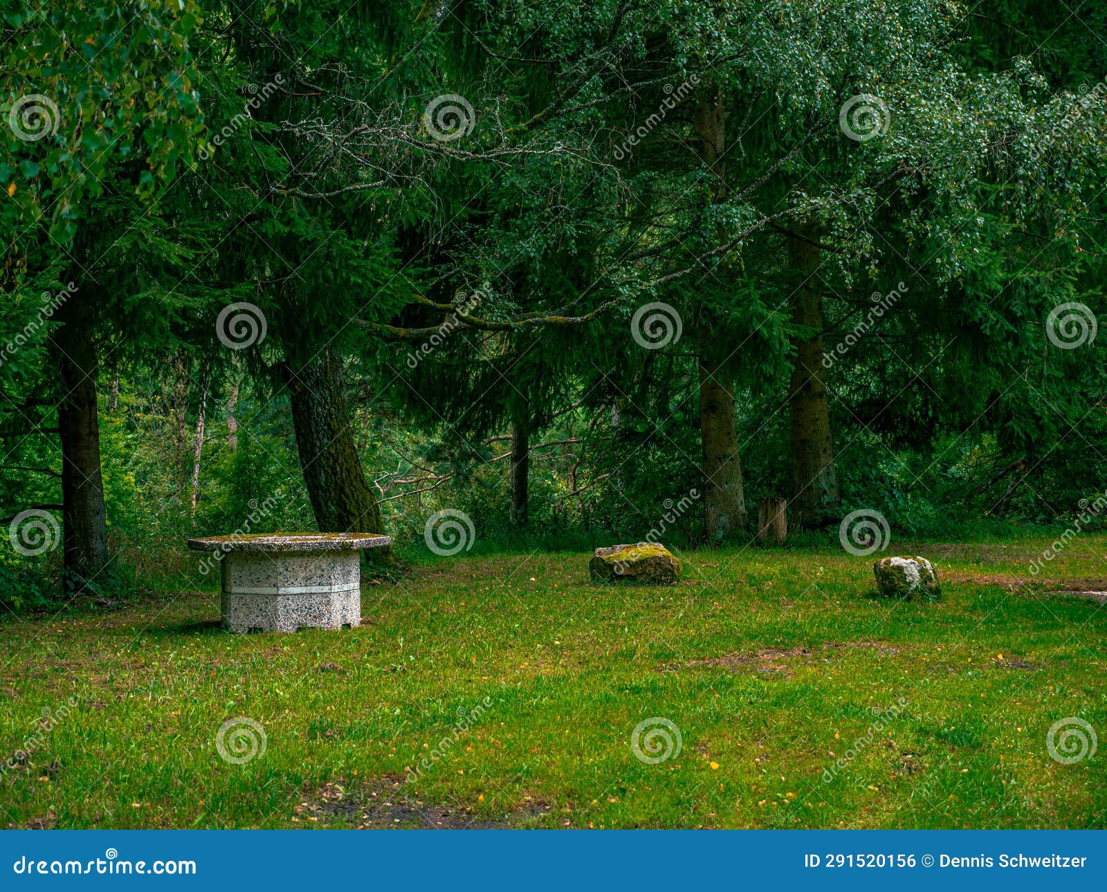 Stone Table with Two Stones on a Meadow and a Forest Behind it Stock ...