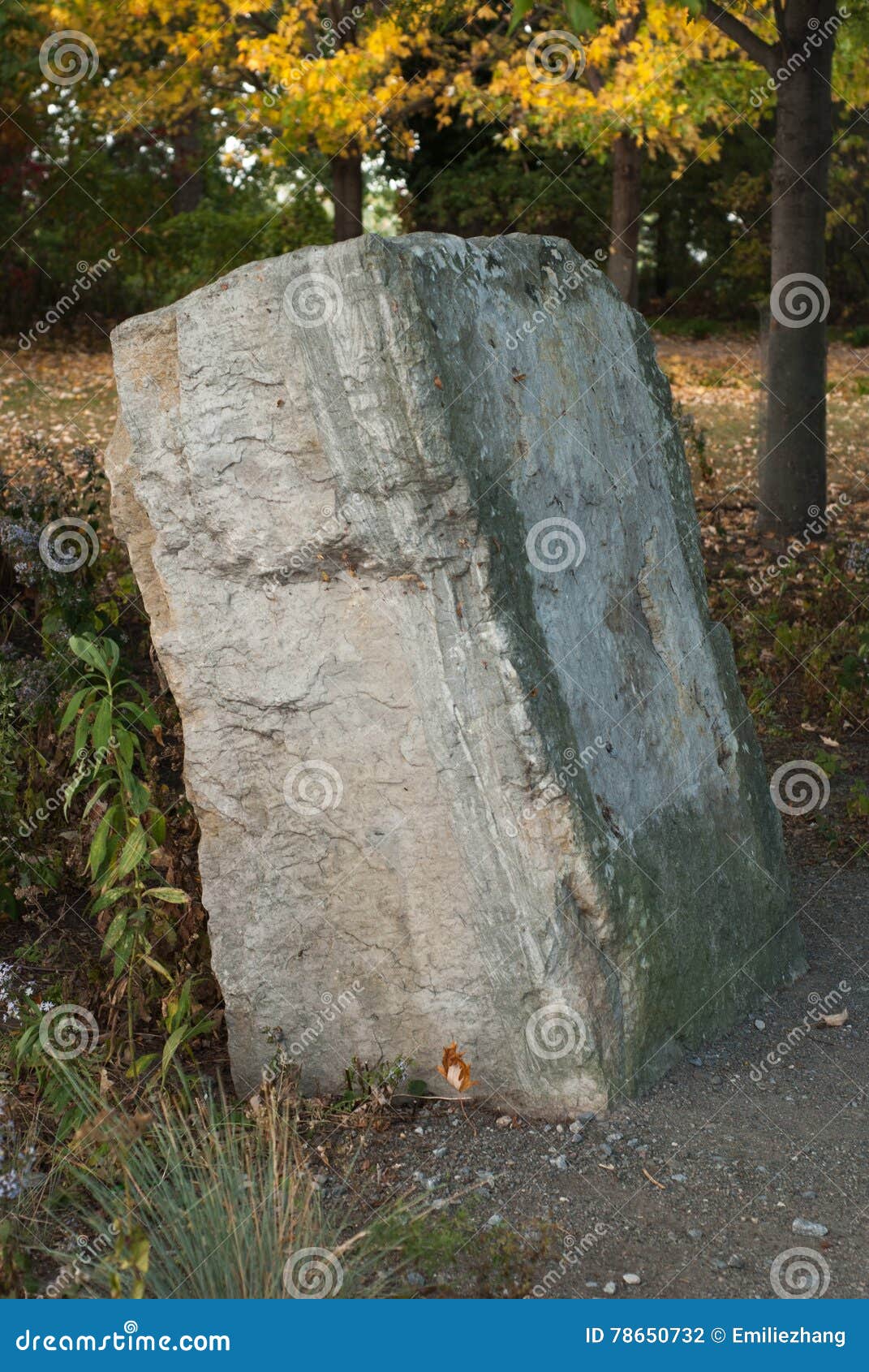 Stone tablet stock photo. Image of copyspace, forest - 78650732