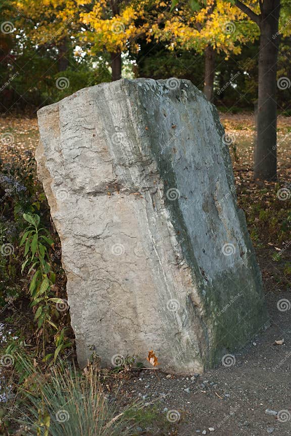 Stone tablet stock photo. Image of copyspace, forest - 78650732