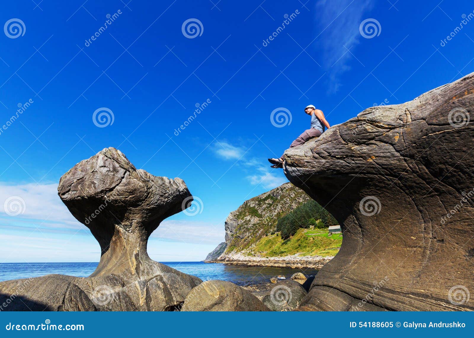 Stone Tail stock image. Image of majestic, activity, cliff - 54188605