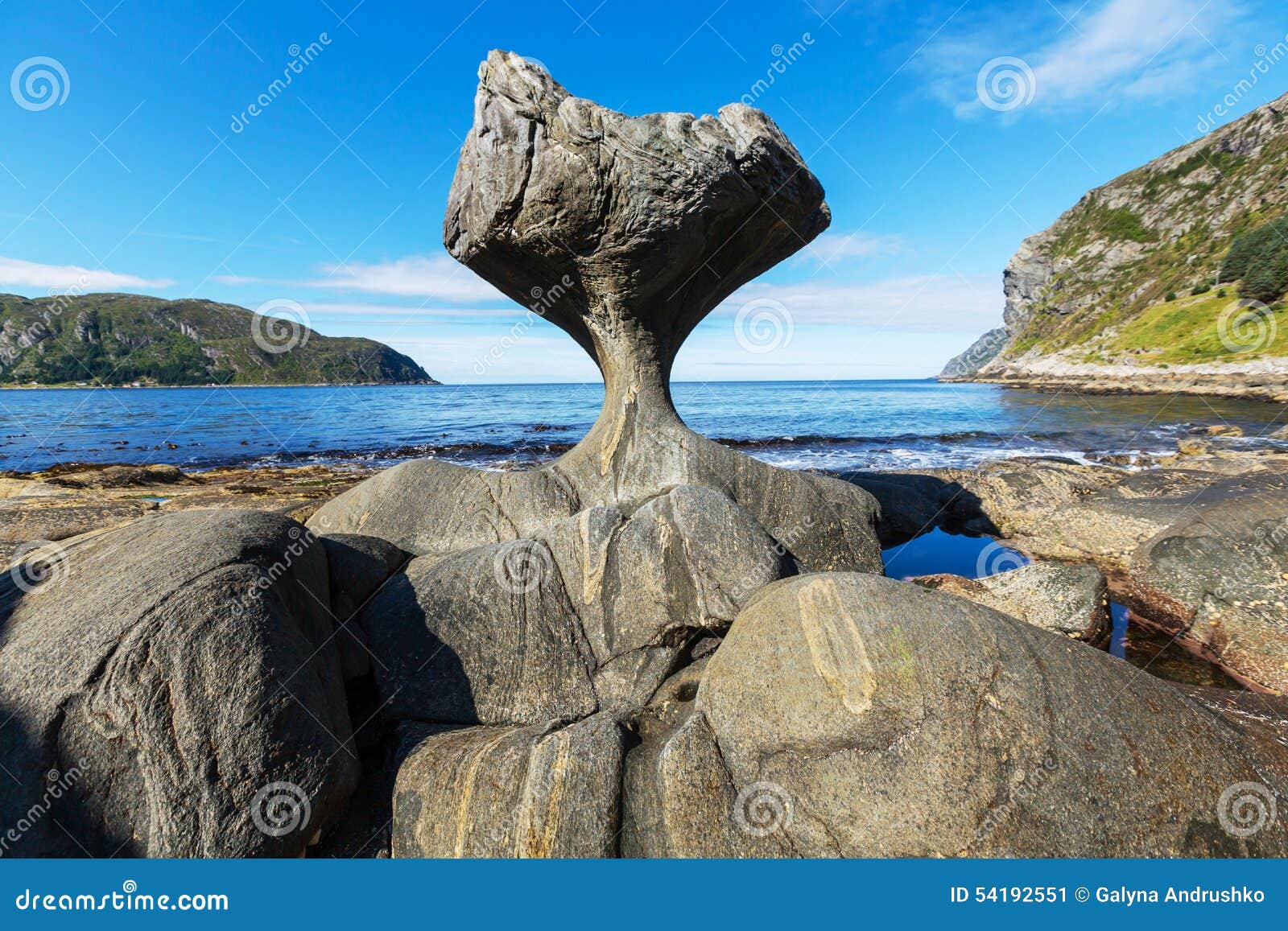 Stone Tail stock image. Image of overcast, cape, nature - 54192551