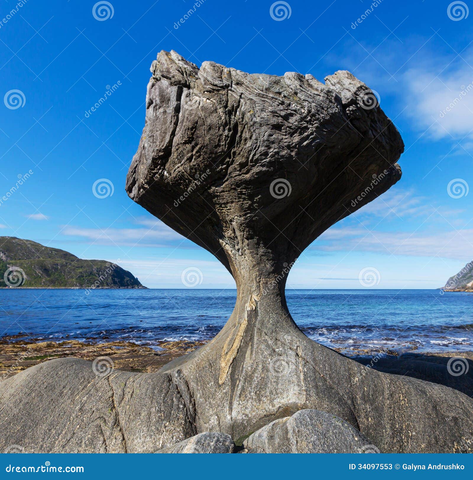 Stone Tail stock image. Image of norway, beach, rough - 34097553