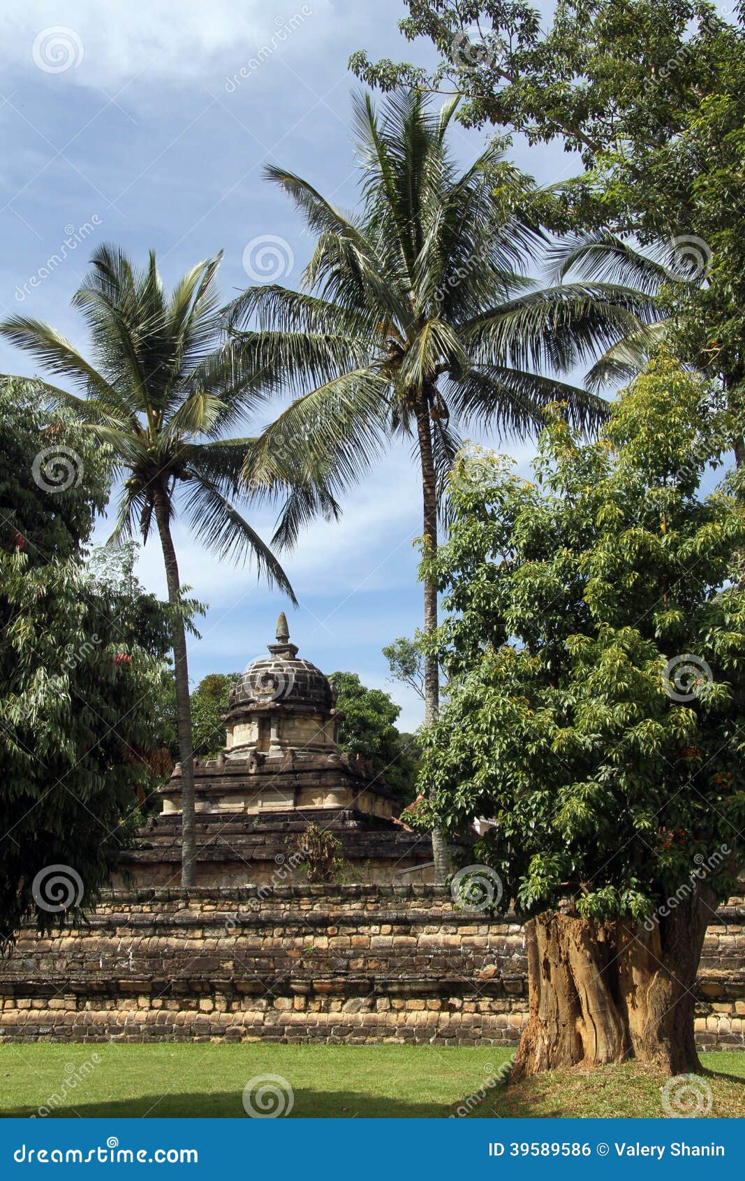 Stone temple editorial photo. Image of temple, tree, shrine - 39589586