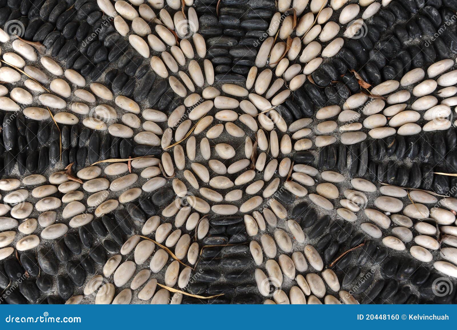 Stone Texture stock photo. Image of outdoors, background - 20448160