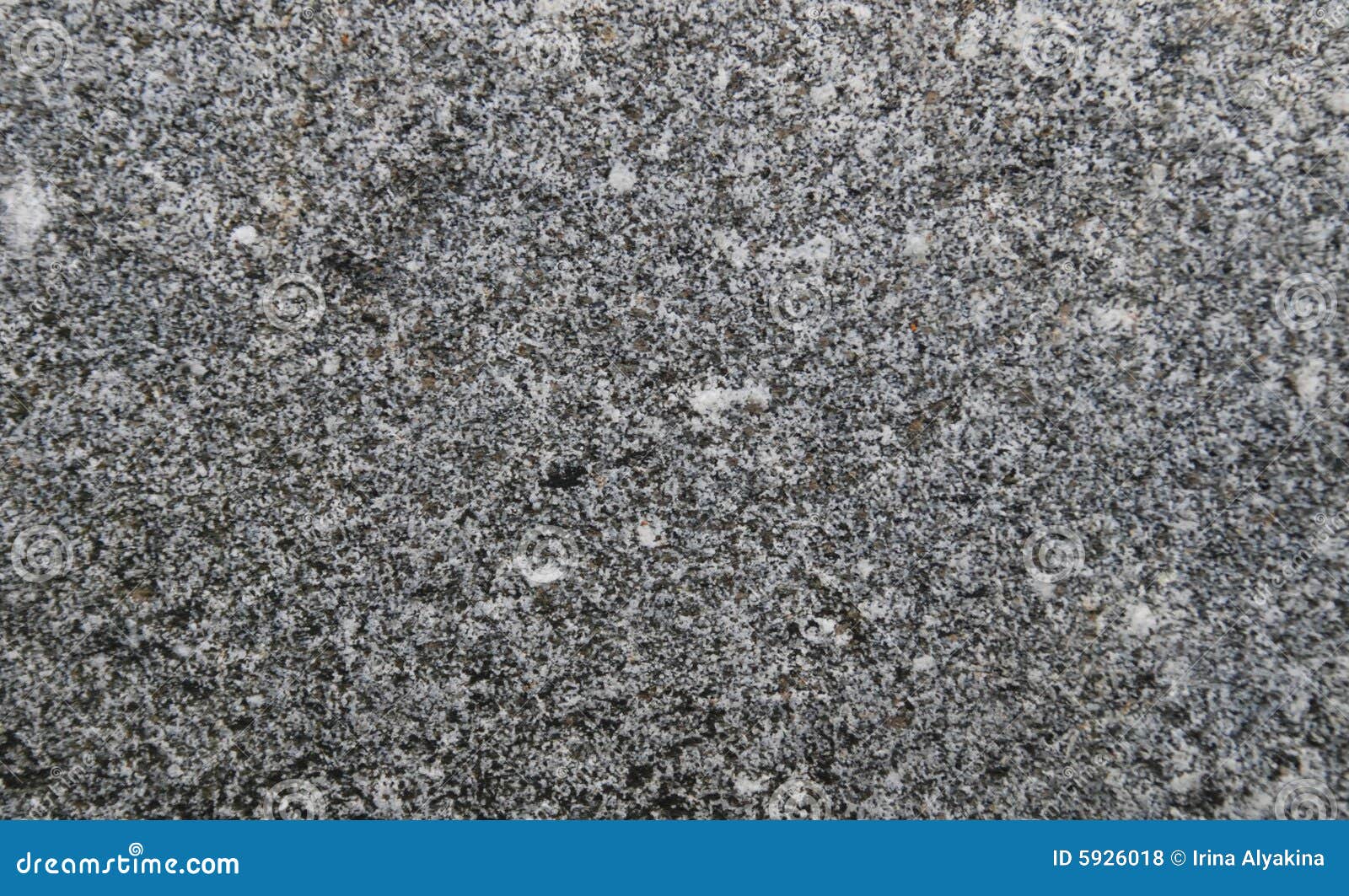 Stone texture stock photo. Image of bump, stone, inclusions - 5926018
