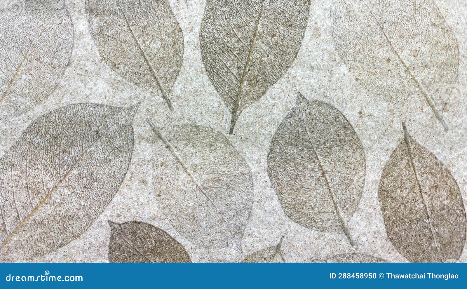 Stone Texture Background, Beautiful Texture for Design. Stock Photo ...