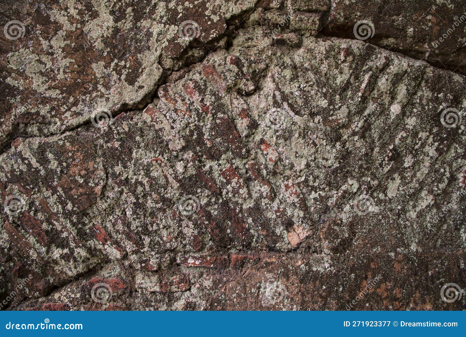 Stone Texture Background. Close-up of a Stone Surface with Cracks and ...