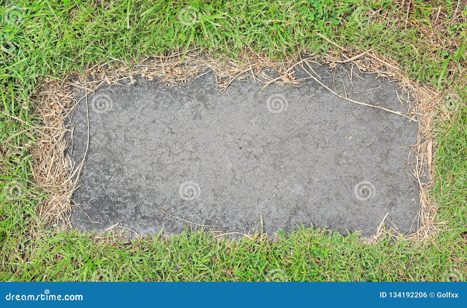 Stone Texture Background Covered with Green Grass Around. Concrete ...