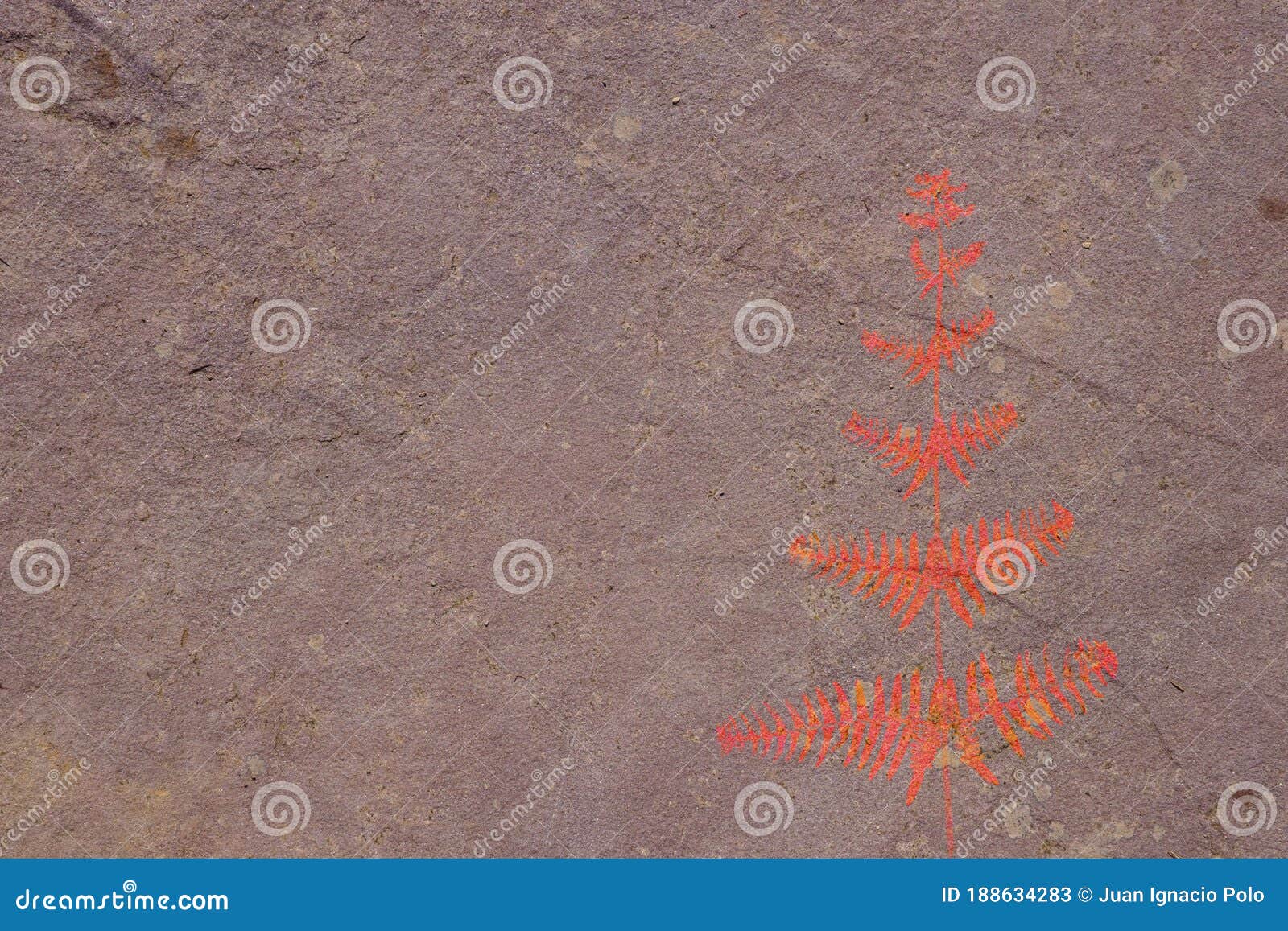 Stone Texture Background with Fossil Stock Image - Image of dirty ...