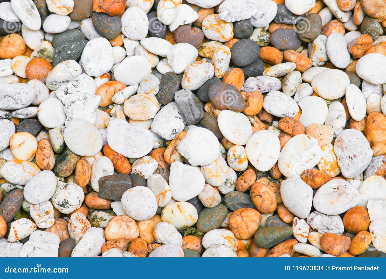 Stone Texture Background in the Garden Stock Photo - Image of blue ...