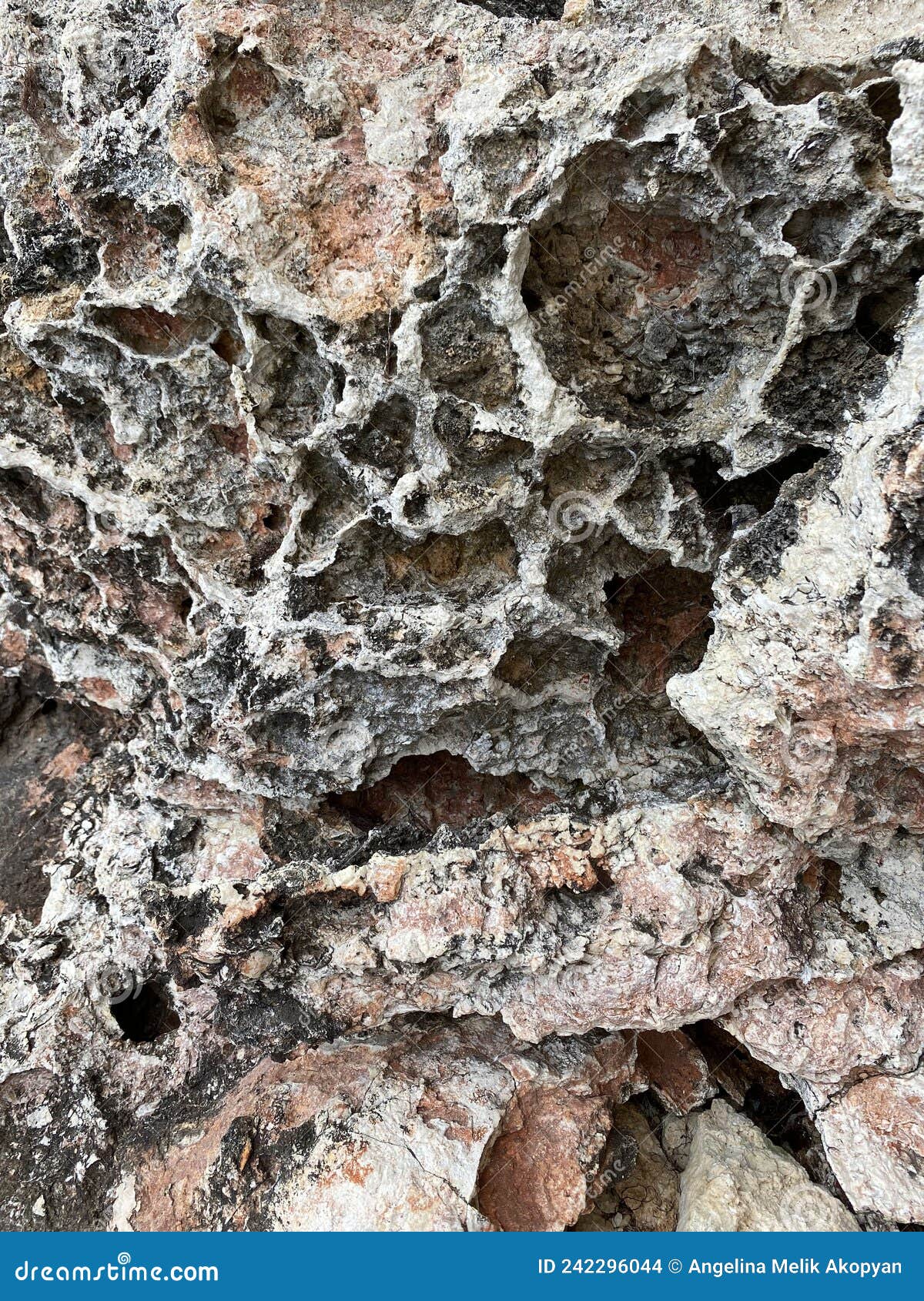 Stone Texture Background Gray Porous Stock Photo - Image of backdrop ...