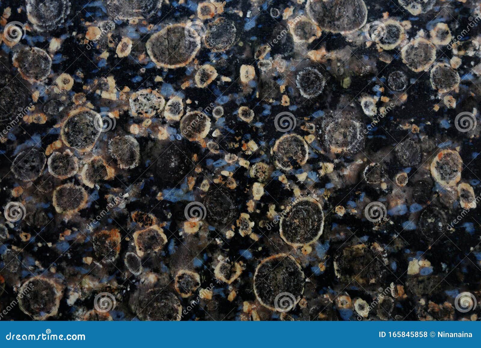 Stone Texture. Black Polished Stone with Spotty Pattern Stock Photo ...