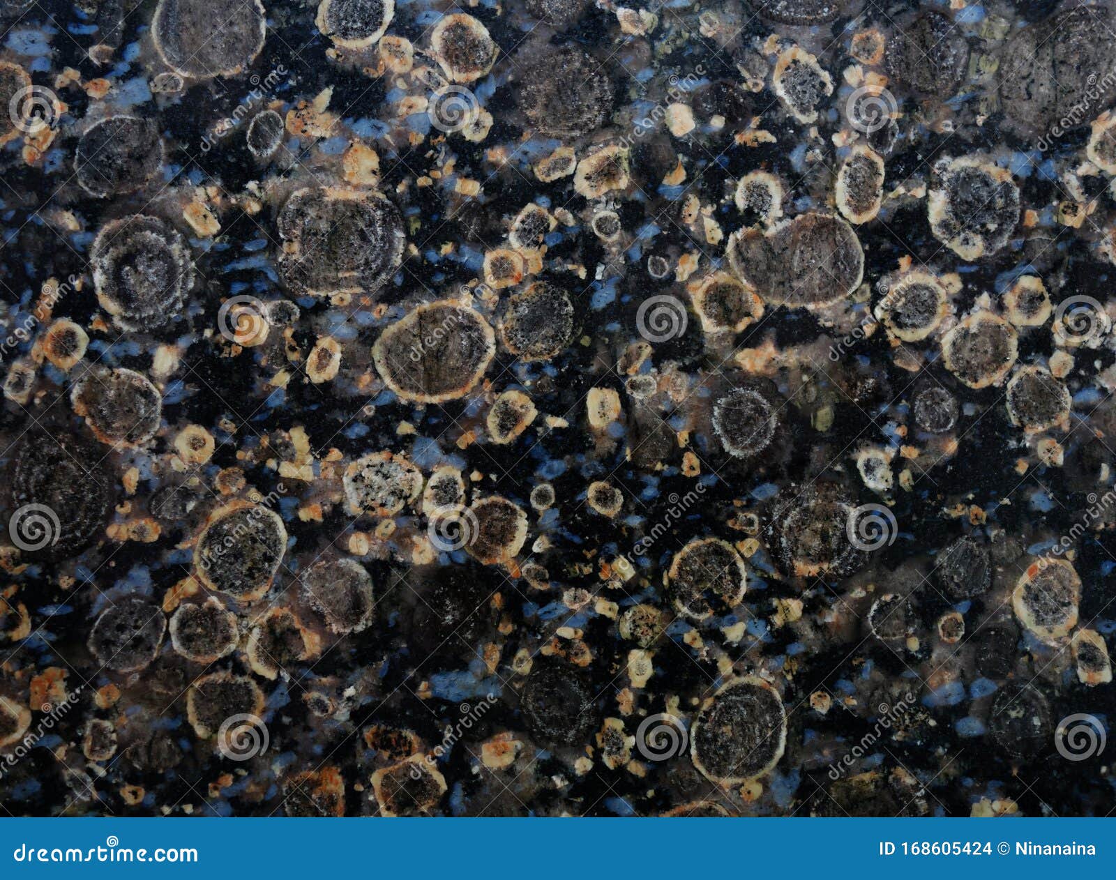 Stone Texture. Black Polished Stone with Spotty Pattern Stock Photo ...