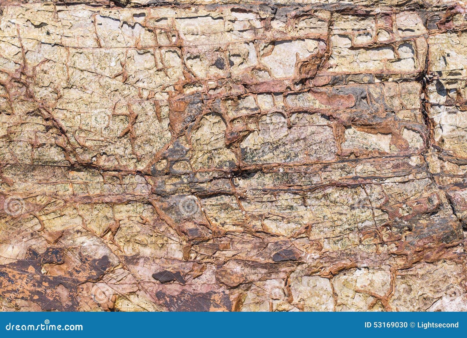 Stone texture erosion stock photo. Image of macro, nature - 53169030