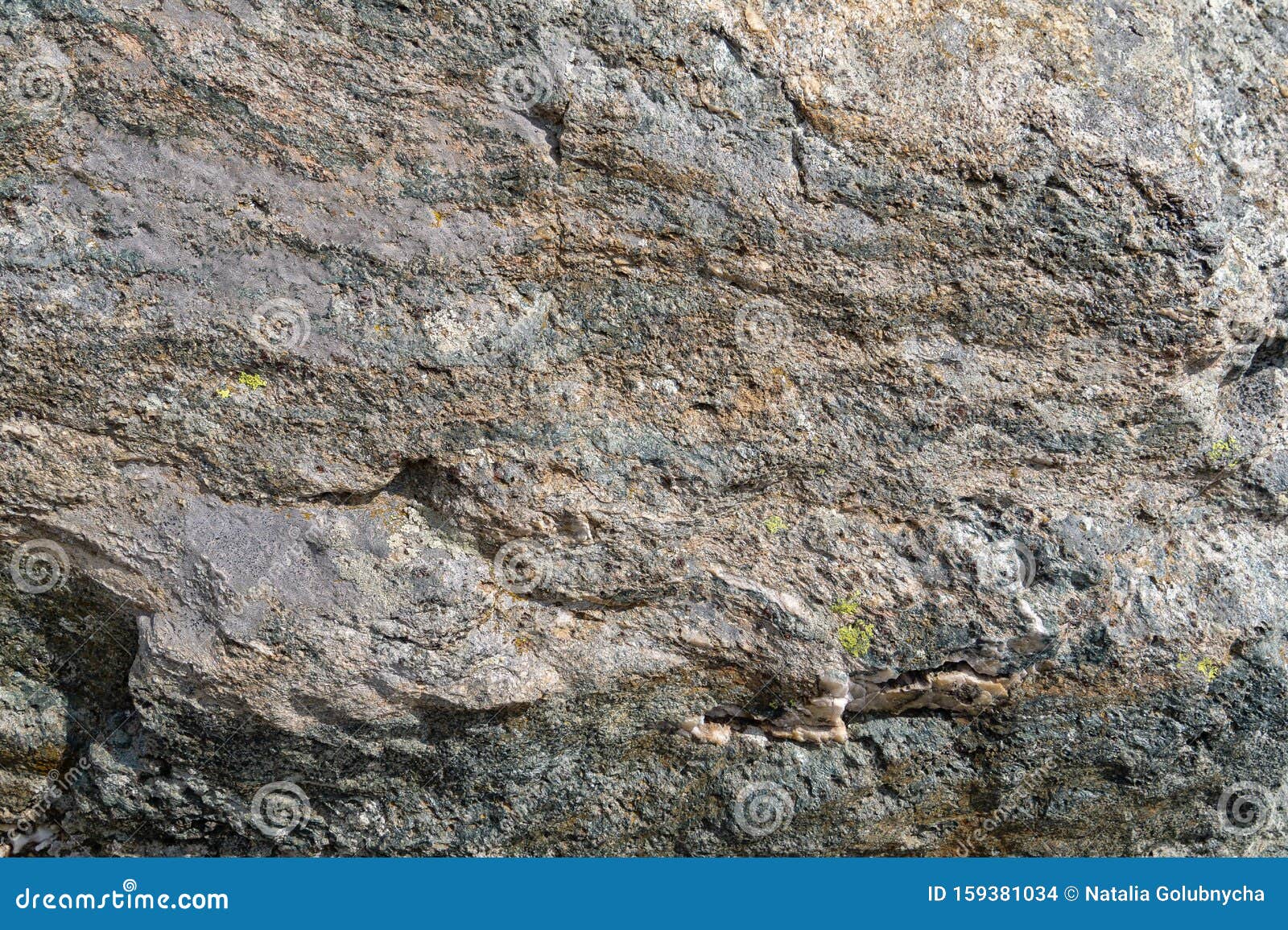 Schist Texture