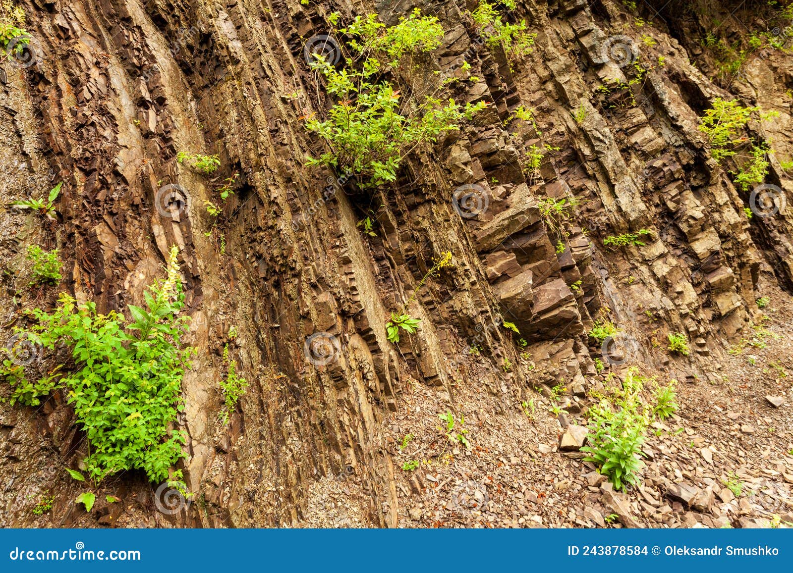 Stone Texture - the Nature of the Structure of a Solid Substance and ...