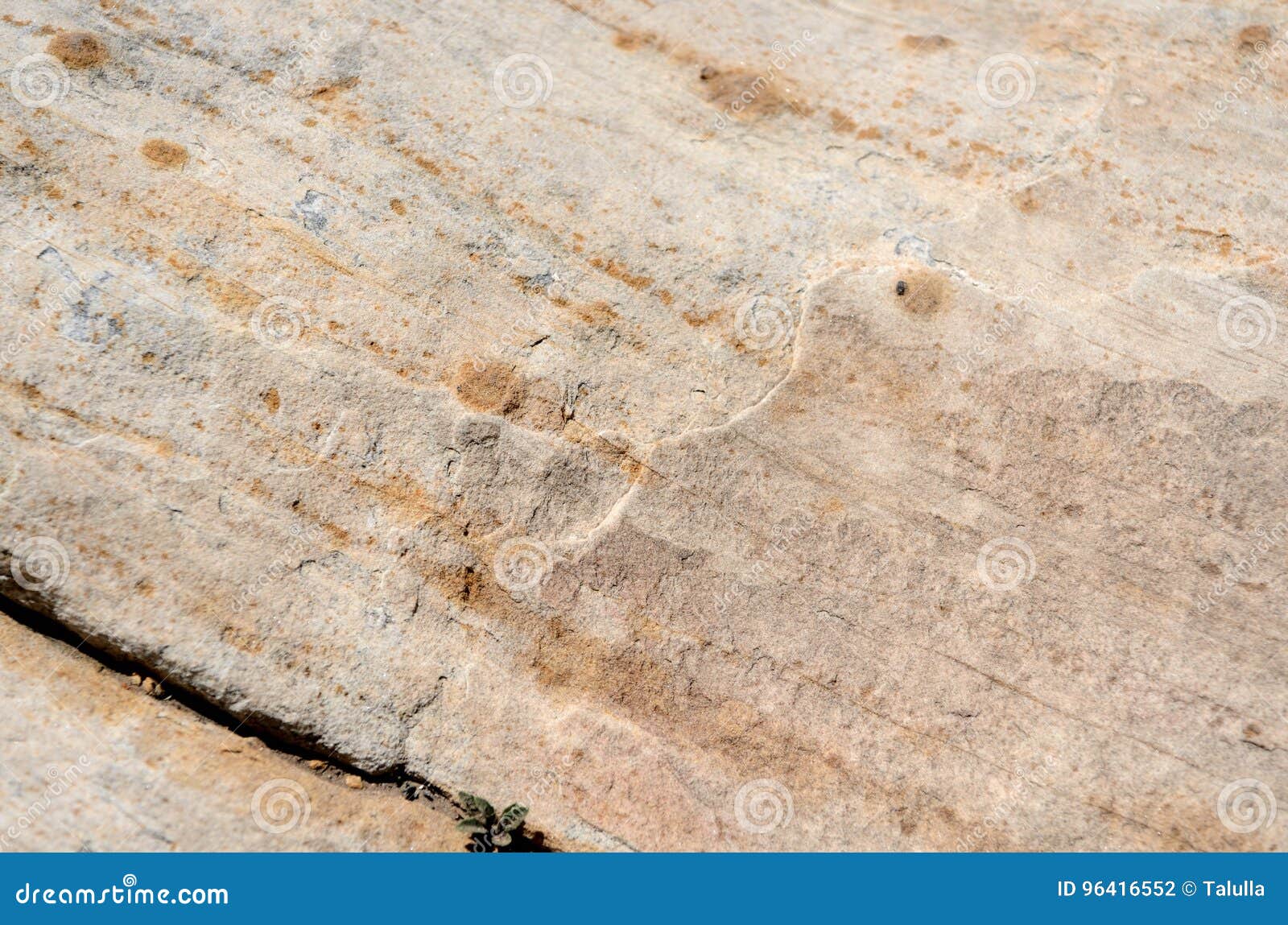 Stone Texture in Red Rock Canyon, Stock Photo - Image of canyon ...