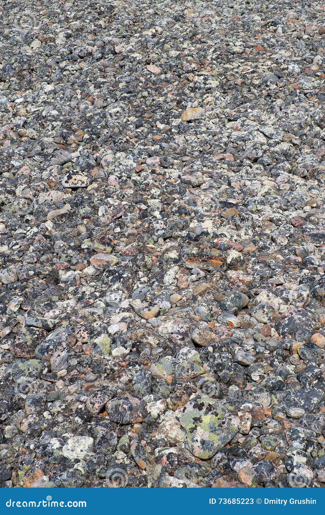 Stone texture seashore stock image. Image of stone, rock - 73685223