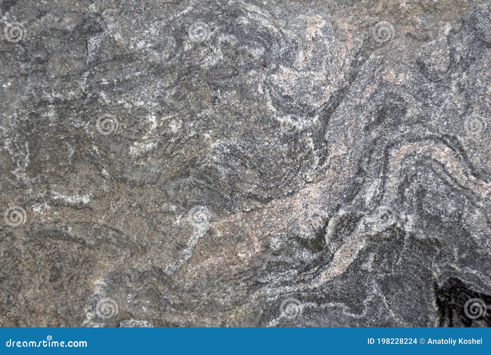 Stone Texture. the Surface of a Large Boulder in the Park. Abstraction ...